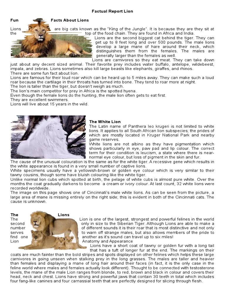 Factual Report Lion | PDF | Lion | Fauna Of Africa