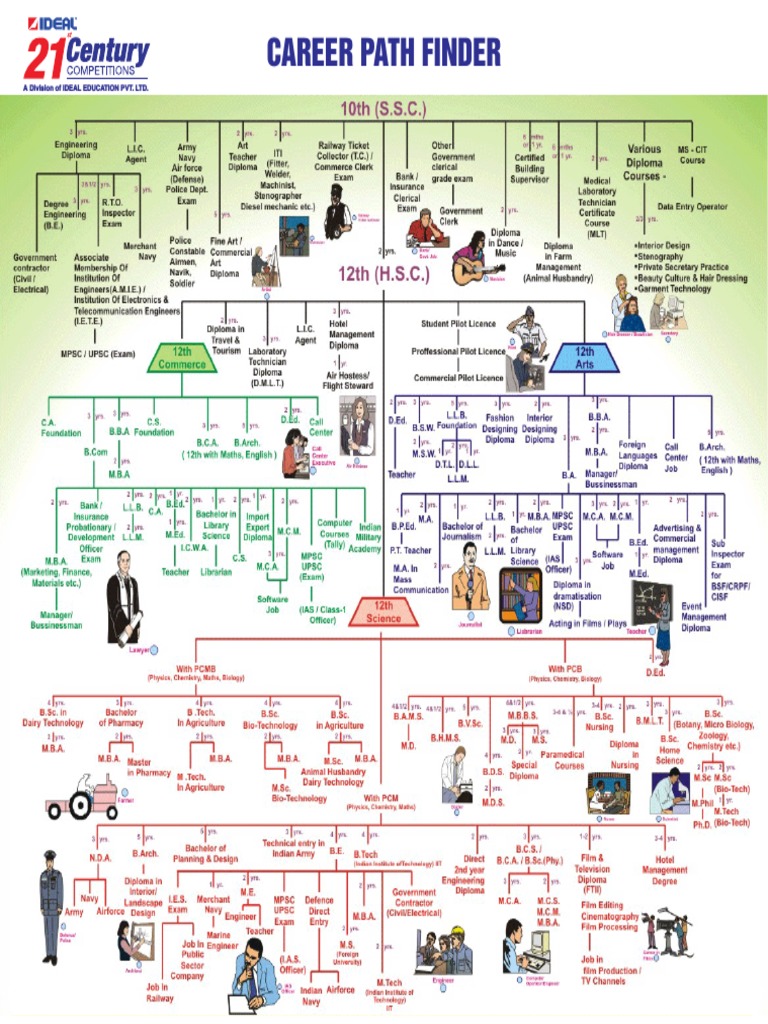 Career Chart | PDF