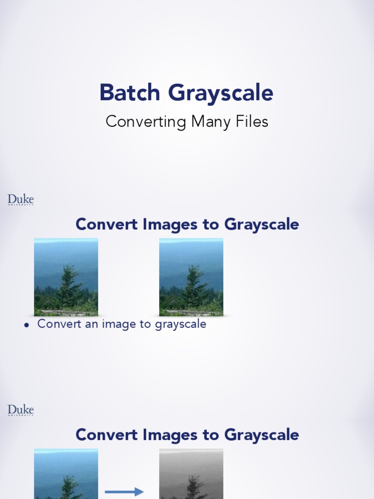 Batch Grayscale: Converting Many Files | PDF