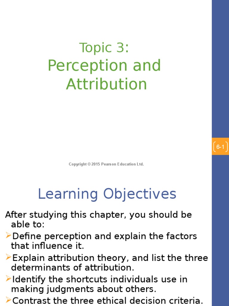 Perception (Organization Behavior) | PDF | Performance Appraisal ...