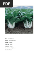 Agricultural Science - SBA MARKING SCHEME | PDF | Information | Data