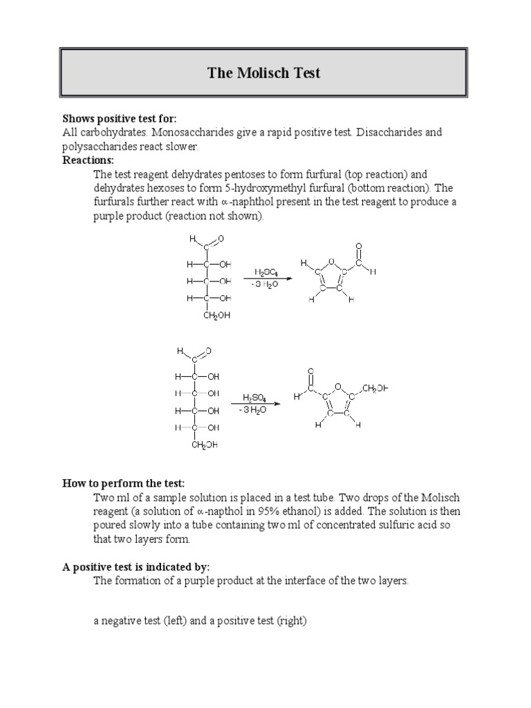 The Molisch Test: Shows Positive Test For | PDF | Carbohydrates ...