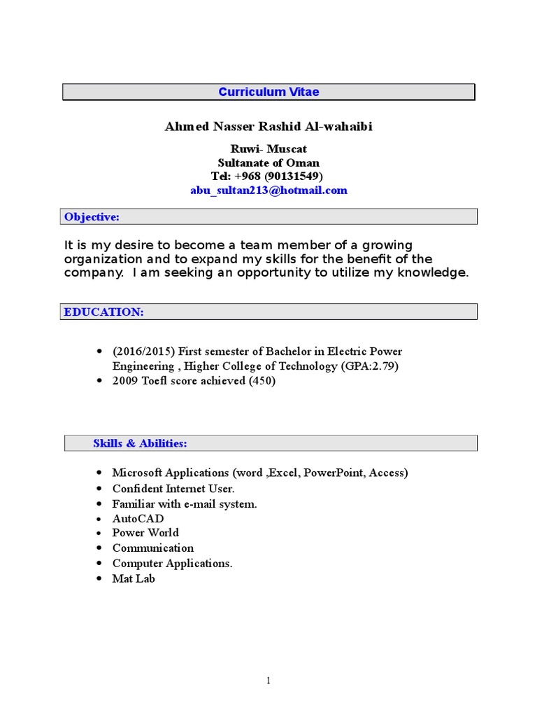 Ahmed Nasser Rashid CV Summary | PDF | Business | Computers