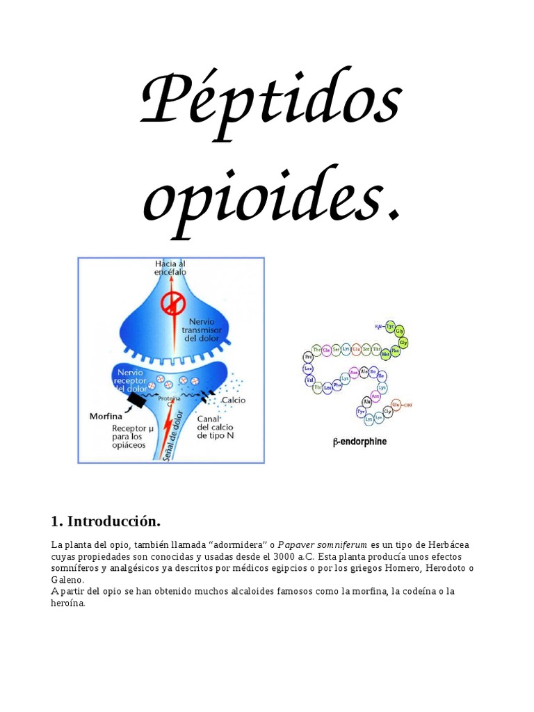 Los péptidos opioides endógenos: tipos, receptores y mecanismo de acción | PDF | Opioide | Sinapsis