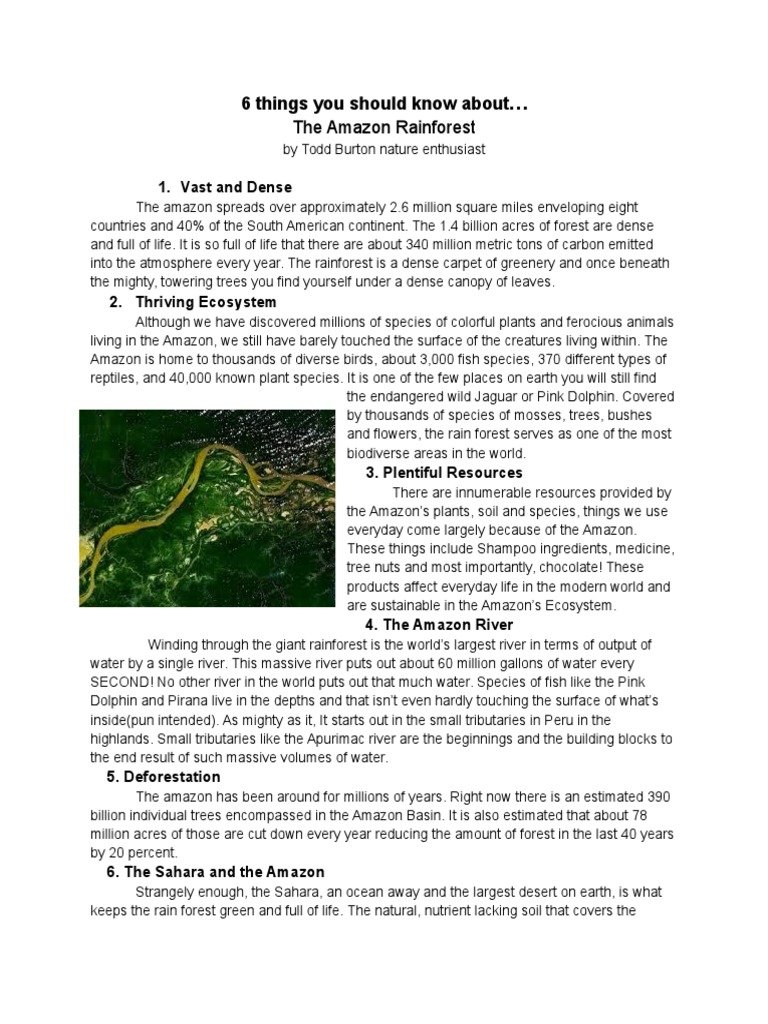 Key Facts About the Amazon Rainforest | PDF | Amazon Rainforest ...