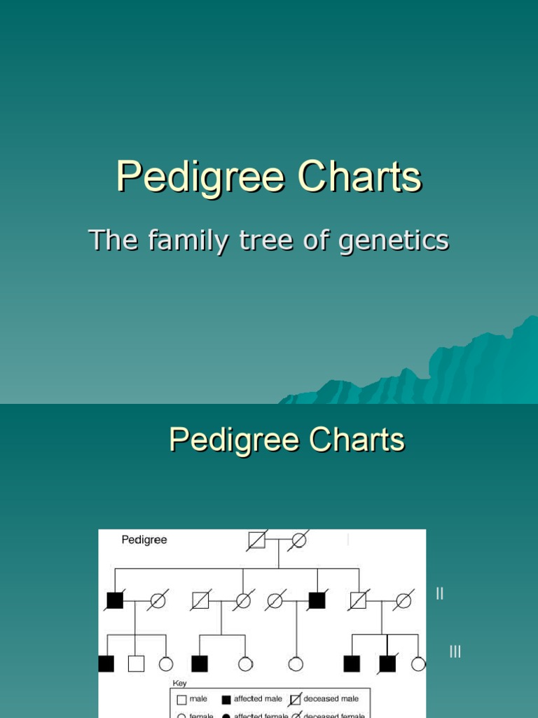 How to Read a Pedigree | Dominance (Genetics) | Plasmid