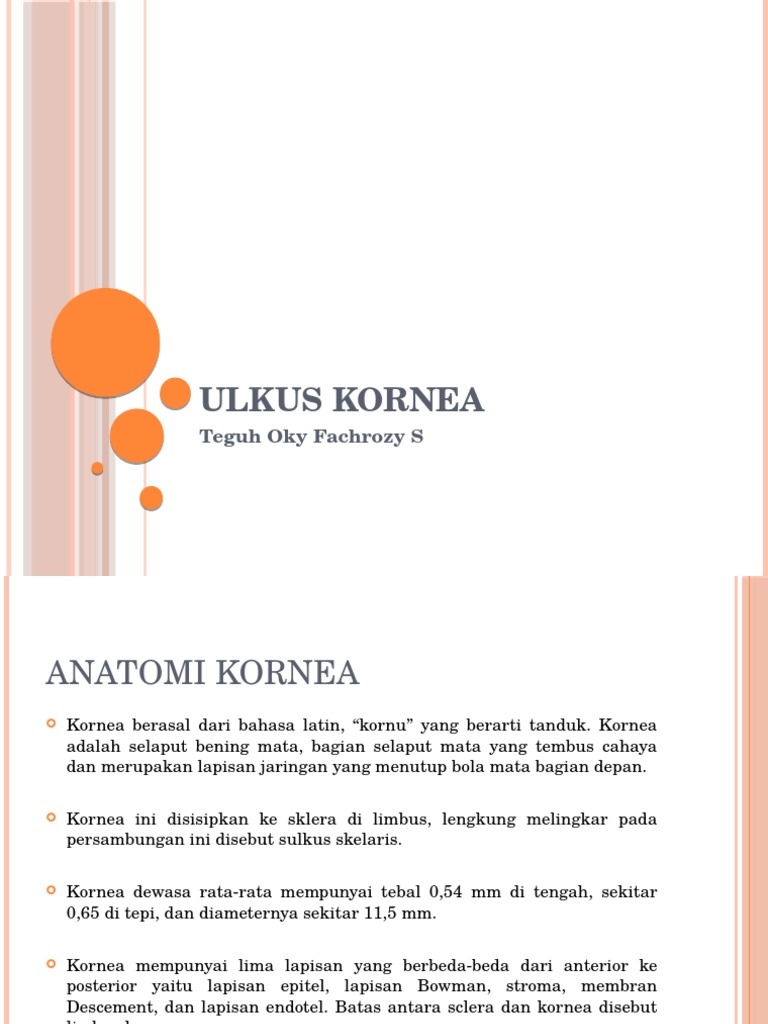 Ulkus Kornea | PDF