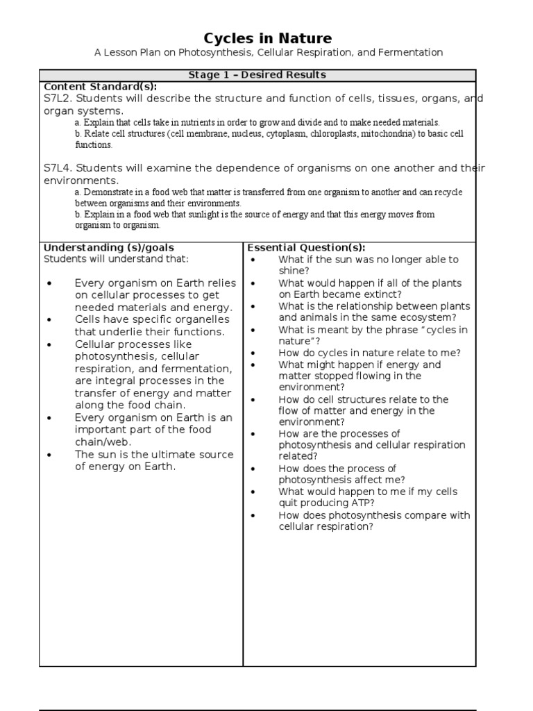 UBD Template | PDF | Cellular Respiration | Photosynthesis