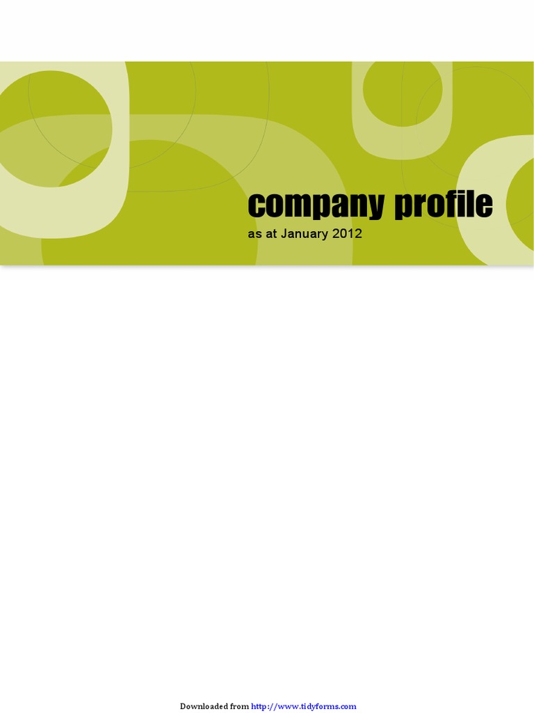Company Profile Format Template | PDF | Occupational Safety And Health ...