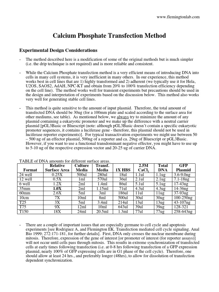 Calcium Phosphate Transfection Protocol # 3 | PDF | Science ...