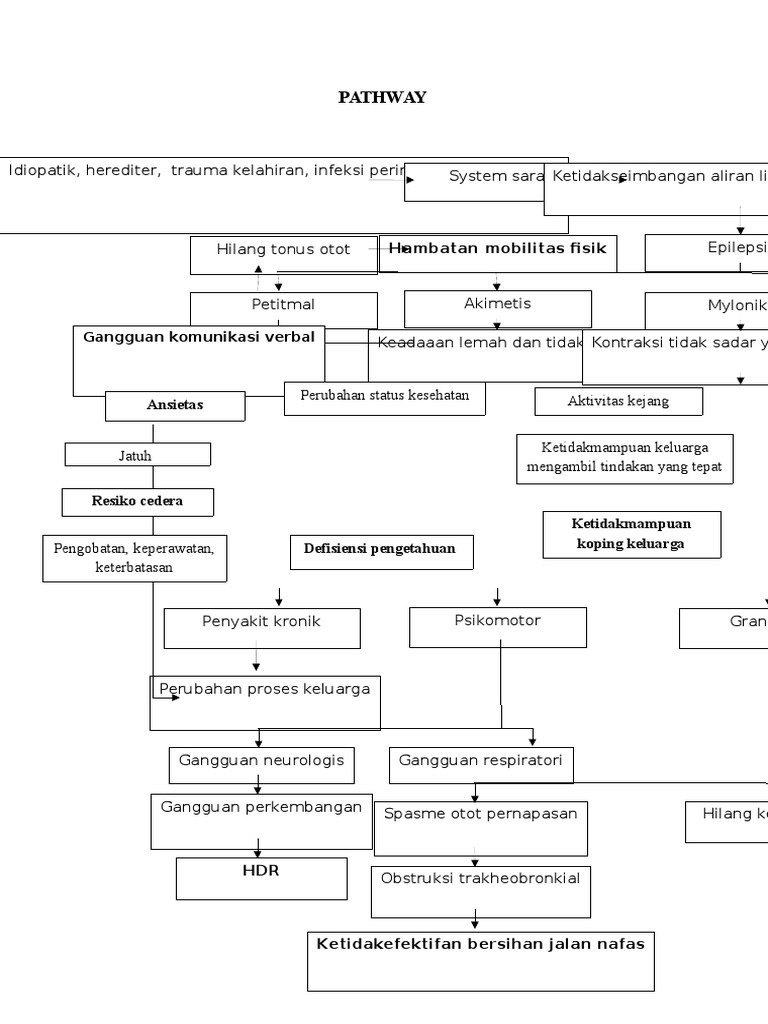Pathway Epilepsi | PDF