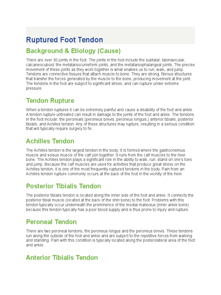 Ruptured Foot Tendon: Background & Etiology (Cause) | PDF | Foot | Ankle