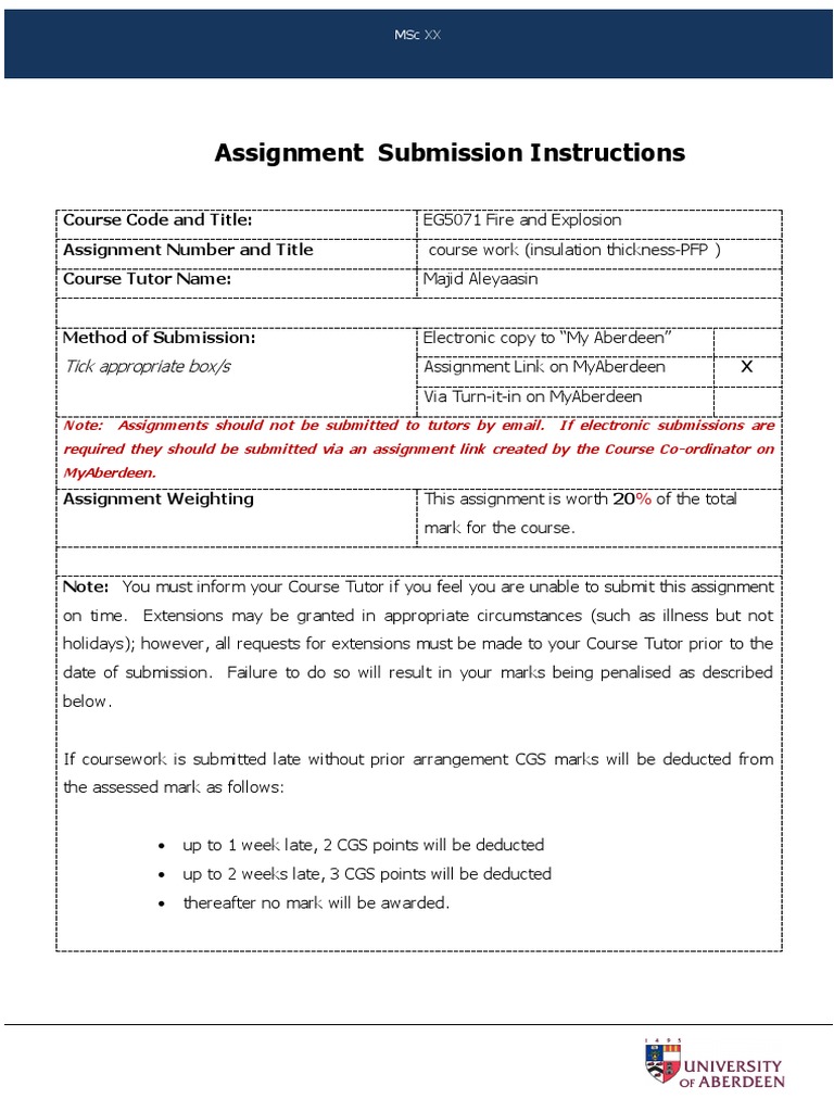 MSc Fire and Explosion Assignment Guide | PDF | Business