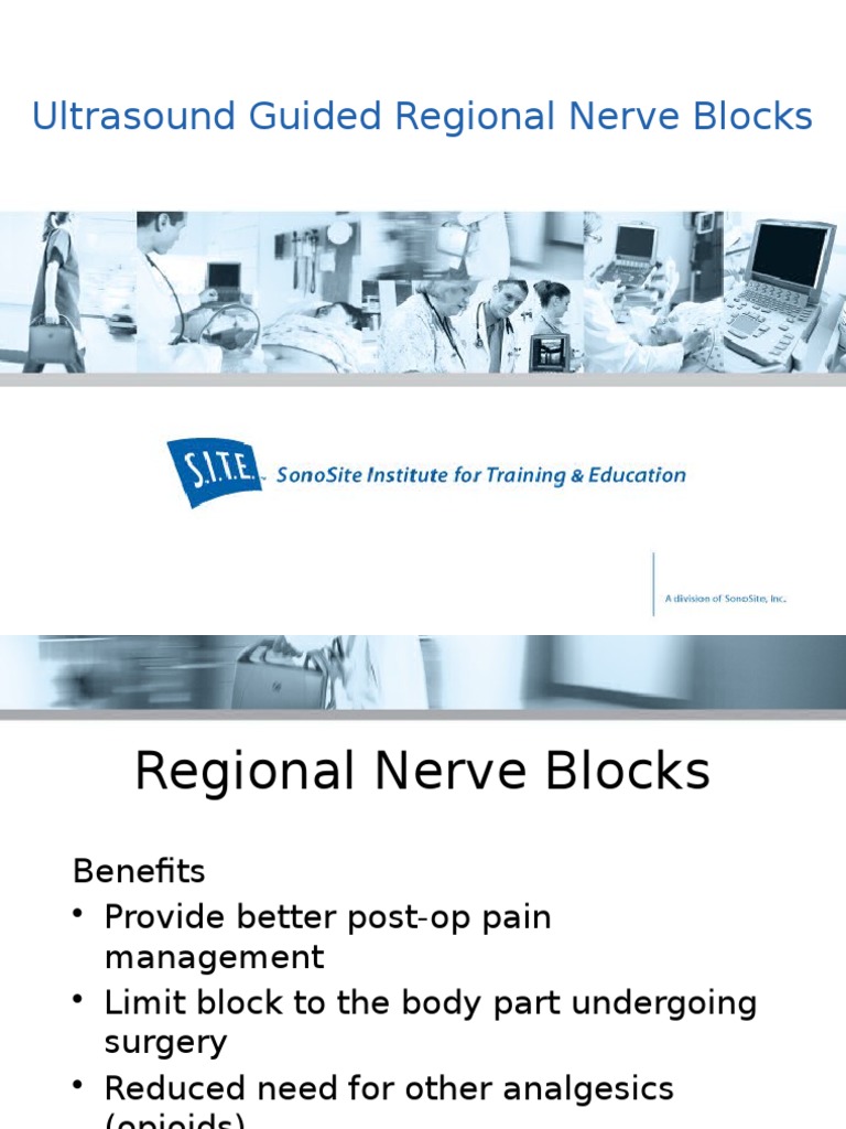 Ultrasound in Regional Nerve Blocks | PDF