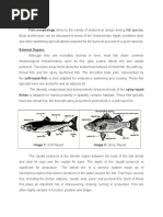 Line Size Chart: PE Rating Japanese Braid | PDF | Foot (Unit) | Outdoor ...