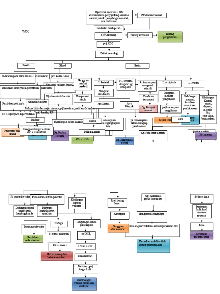 Woc Cva Bleeding New | PDF