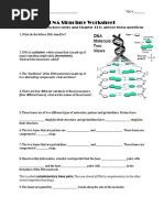 Virus Student Worksheet Answer Key | PDF | Virus | Adenoviridae