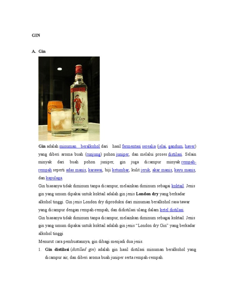 Gin | PDF