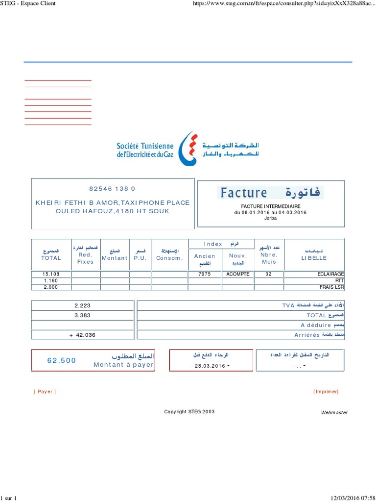 STEG - Espace Client | PDF