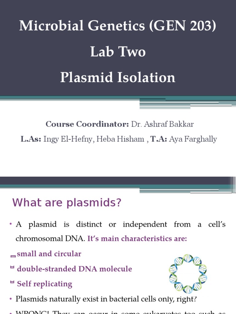Lab2-Plasmid Isolation (1) | Plasmid | Dna