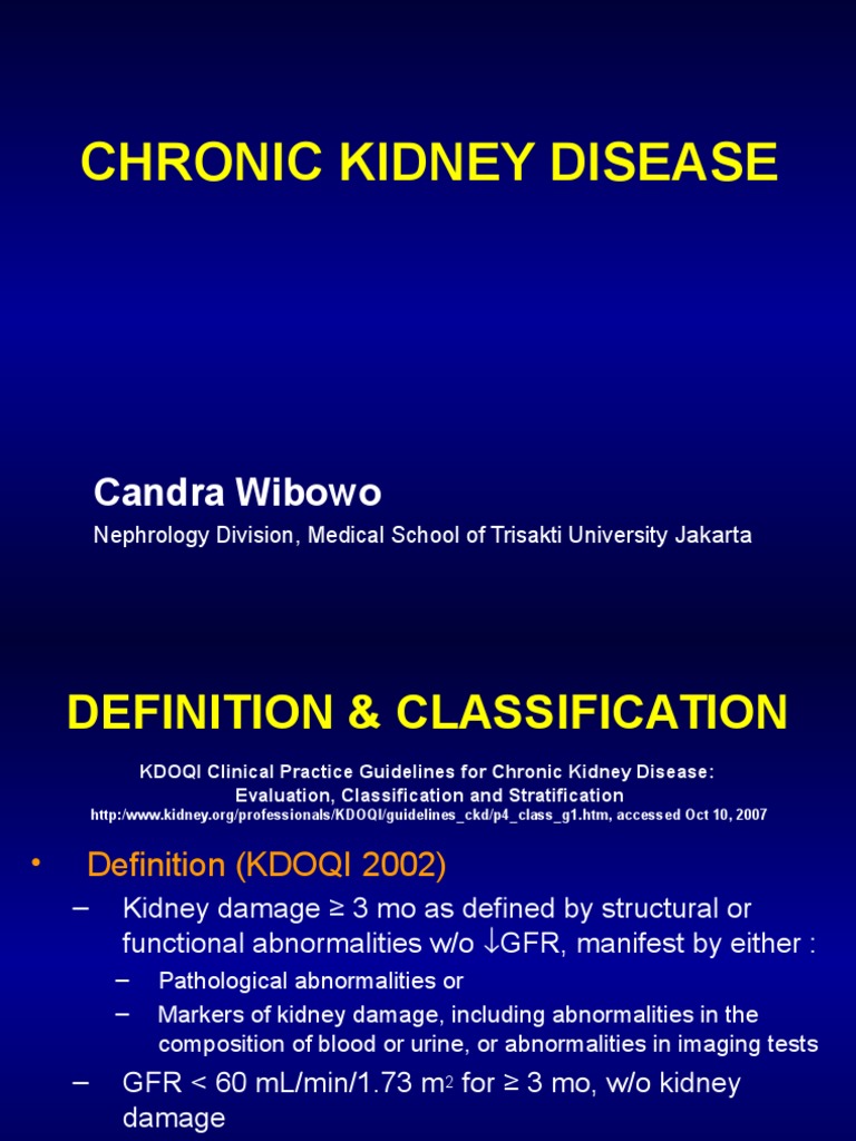 CKD 2 | PDF | Renal Function | Chronic Kidney Disease