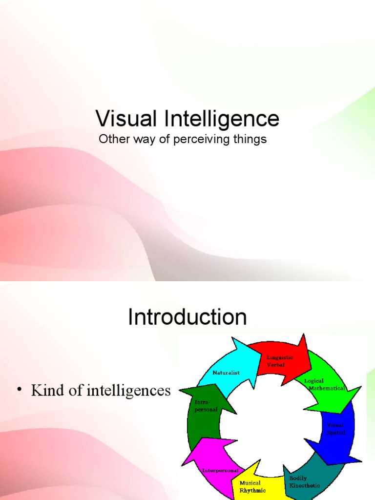 Visual Intelligence | PDF