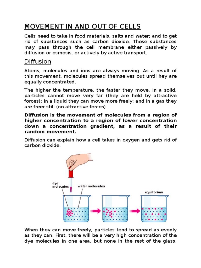 Movement in and Out of Cells | Osmosis | Cell Membrane