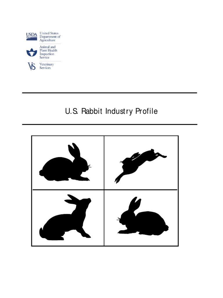 Rabbit Report 1 | PDF | Hare | Pet