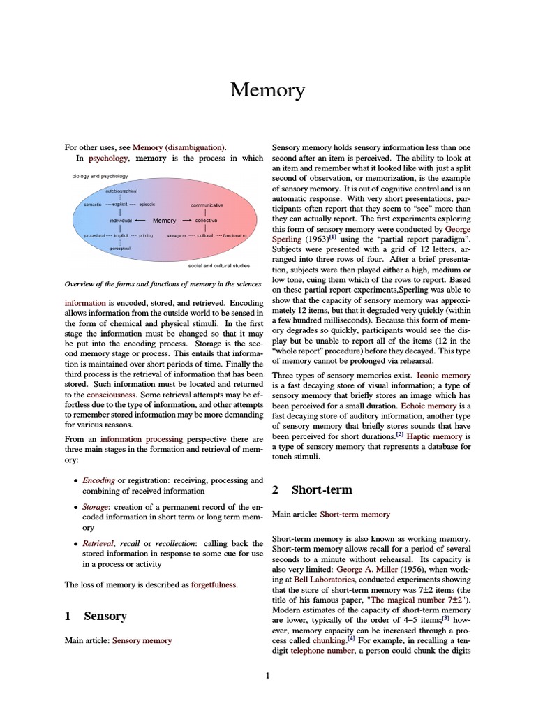 Memory: 2 Short-Term | PDF | Memory | Long Term Memory