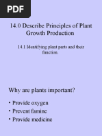 Parts of A Plant - PowerPoint | PDF | Seed | Plants
