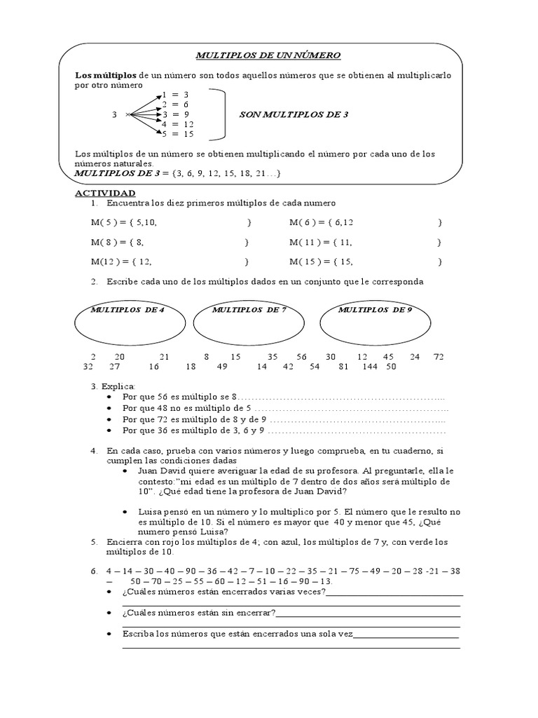 Taller Teoria de Numeros | PDF | Conceptos matemáticos | Matemáticas discretas