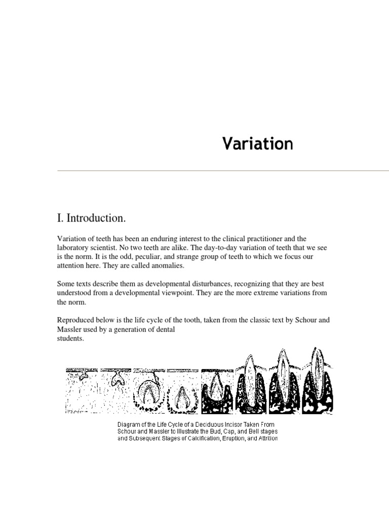 Flexion and Dilaceration in Teeth | PDF | Tooth | Tooth Enamel