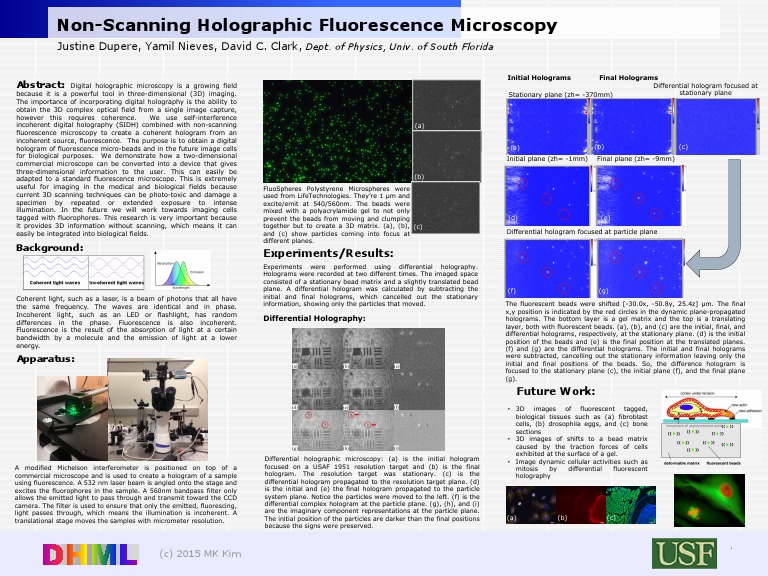 Three-Dimensional Fluorescence Imaging Without Scanning Using Self-Interference Incoherent ...