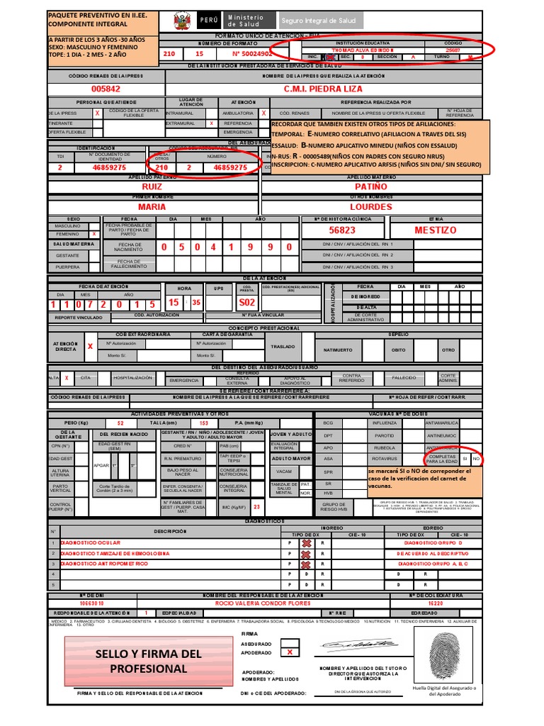 Llenado CLLENADO CORRECTO DE FUA SALUD ESCOLARorrecto de Fua Salud Escolar | PDF