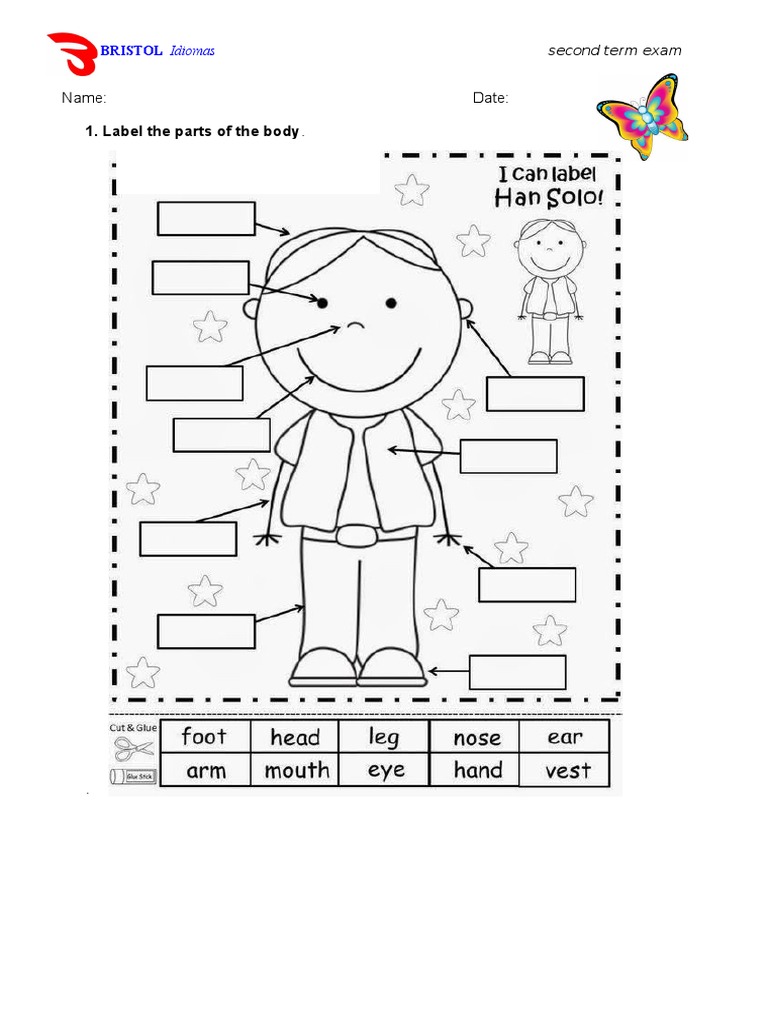 Exam Kindergarten | PDF