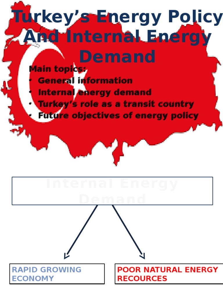 Turkey's Energy Policy and Internal Energy Demand: Main Topics | PDF