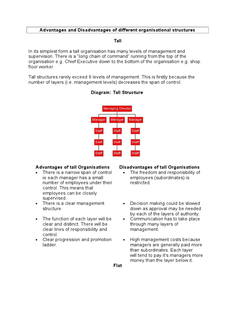 Organisational Structures Advantages and Disadvantages | PDF | Organizational Structure | Leadership