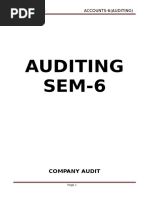 Introduction to Auditing Basics | PDF | Audit | Financial Audit