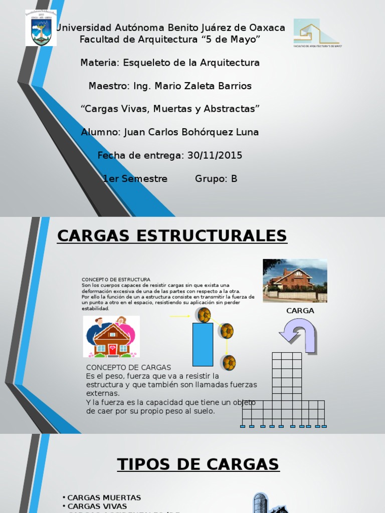 Cargas Vivas, Muertas y Accidentales | PDF | Temblores | Fuerza