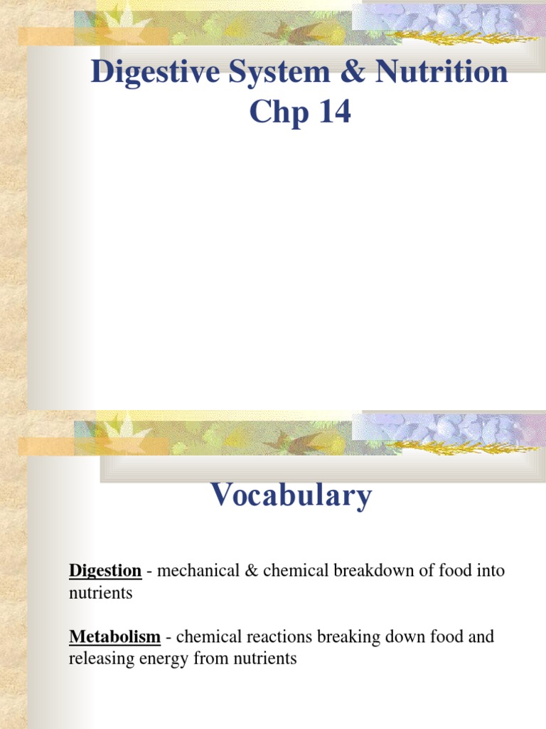 Digestive System & Nutrition CHP 14 | PDF | Digestion | Human Digestive ...
