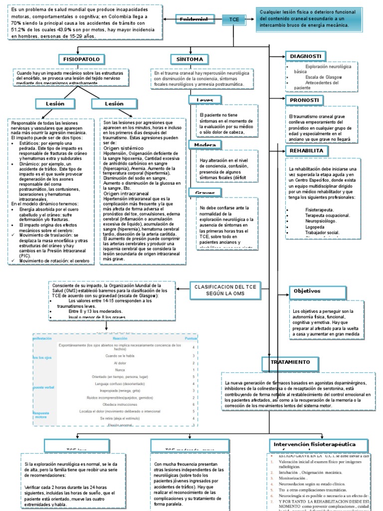 Mapa de TCE | PDF | Epidemiología | Especialidades Medicas