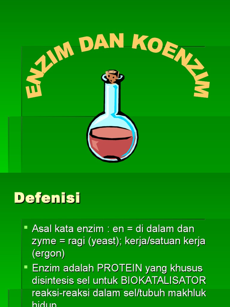 Enzim Dan Koenzim | PDF | Sains & Matematika