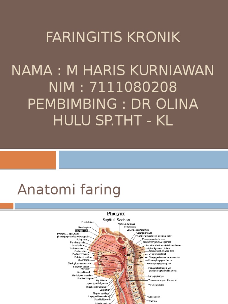 Faringitis Kronik | PDF | Pengembangan Diri | Kesehatan Holistik