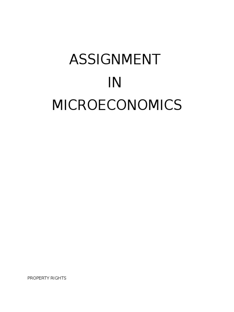 Assignment IN Microeconomics: Property Rights | PDF | Ownership | Property