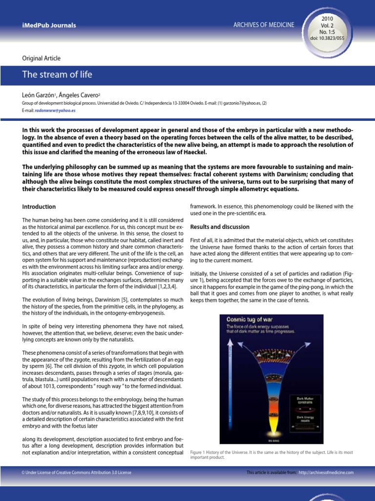 The Stream of Life | PDF | Molecules | Proteins