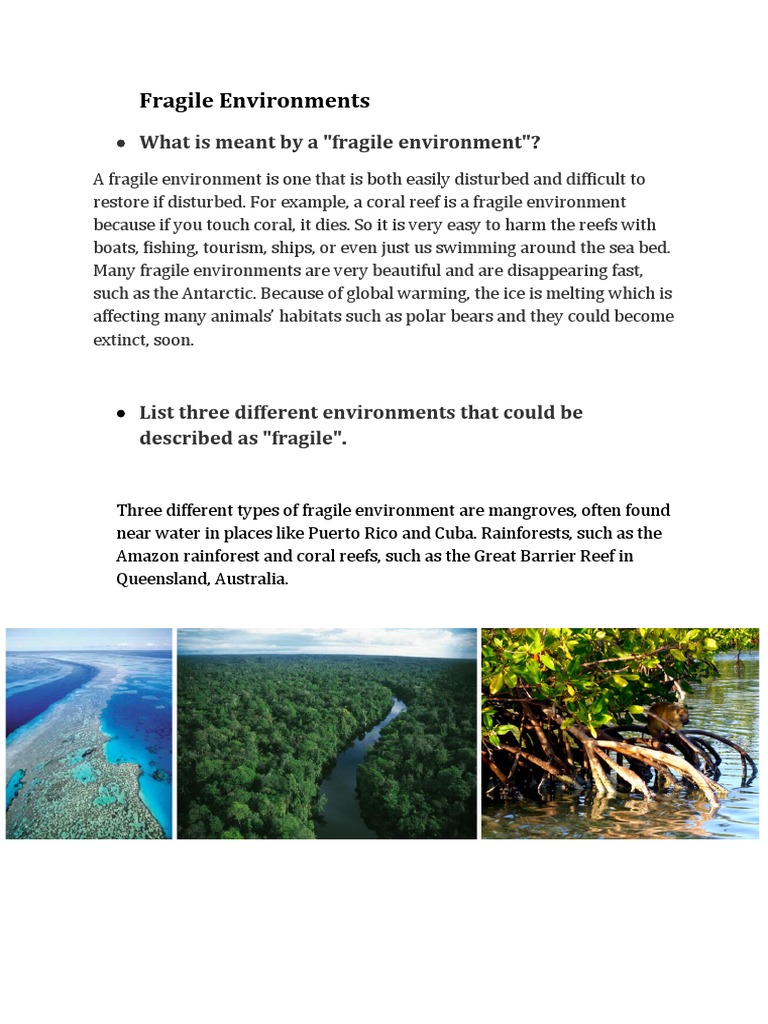 Fragile Environments: What Is Meant by A "Fragile Environment"? | PDF ...