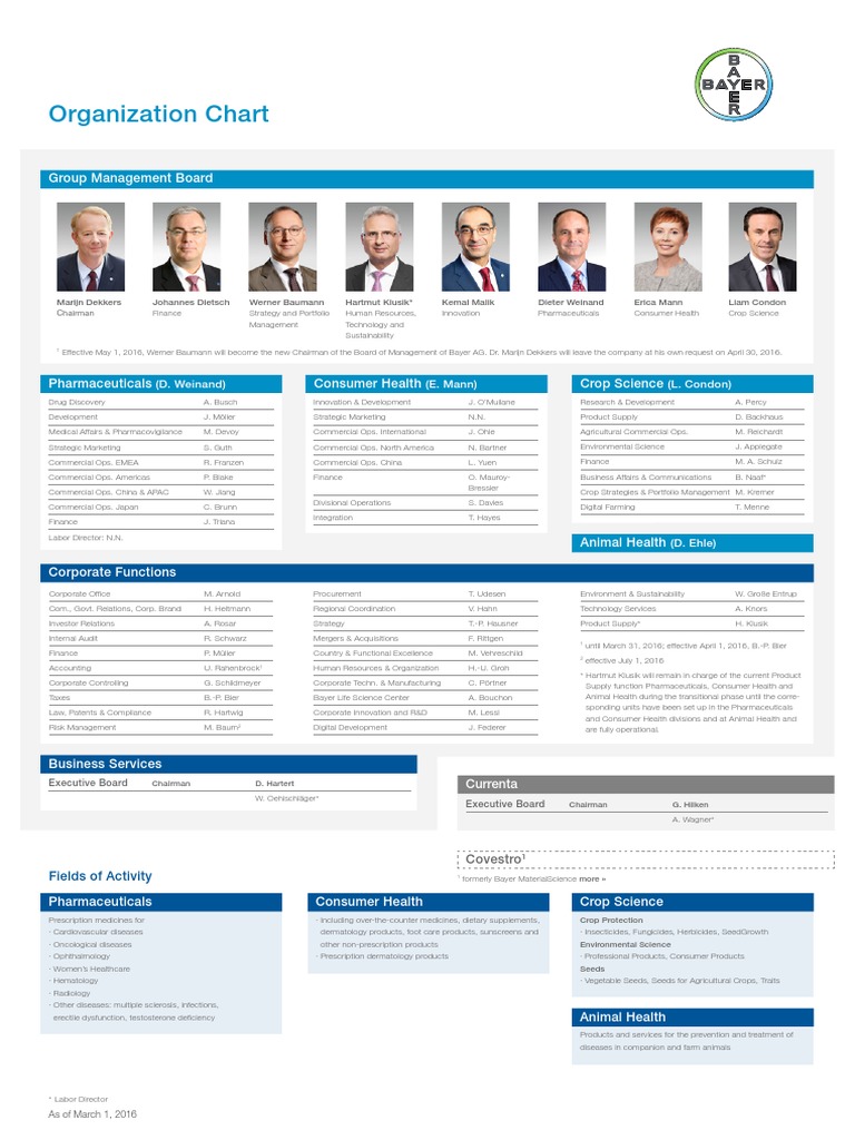 Bayer AG Organizational Structure | PDF | Bayer | Pharmaceutical Drug
