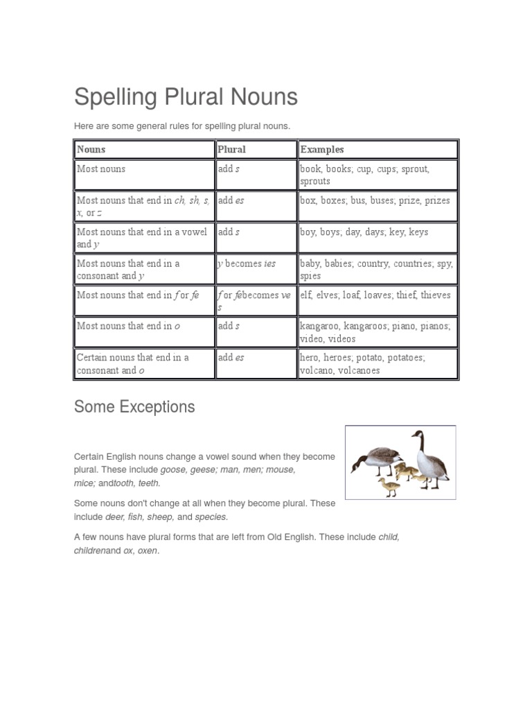 Plural Noun Spelling Rules | PDF