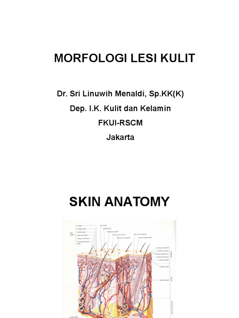 Morfologi Lesi Kulit | PDF