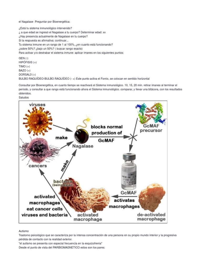 Protocolo Nagalase y Sistema Inmunológico | PDF | Hipertiroidismo ...